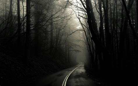 Dark Woods Wallpapers Wallpaper Cave