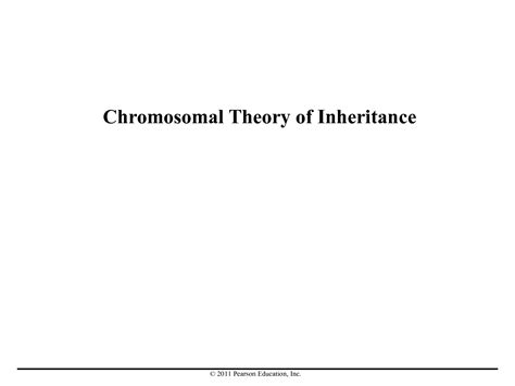 Solution Chromosomal Theory Of Inheritance Studypool