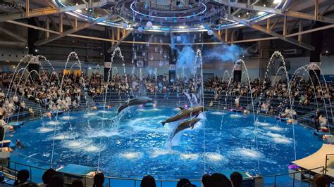 4Kマクセル アクアパーク品川NAKED 花火アクアリウムドルフィンパフォーマンス デイver Dolphin Splash Fes