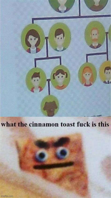 Image Tagged In What The Cinnamon Toast F Is This Imgflip