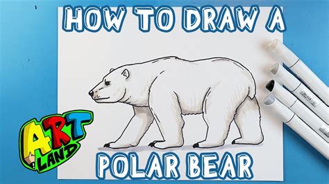 How To Draw A POLAR BEAR YouTube