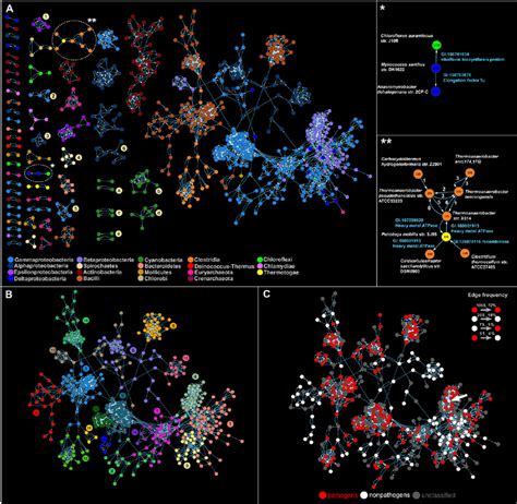 A The Directed Network Of Recent Lateral Gene Transfers Node Color