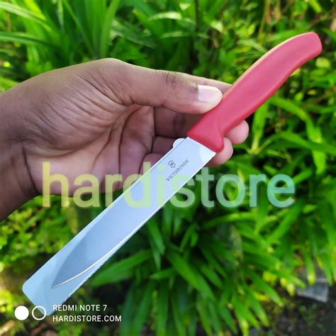 Pisau Pengupas 10 Cm Victorinox Paring Knife 6 7706 L115 Handle Pink
