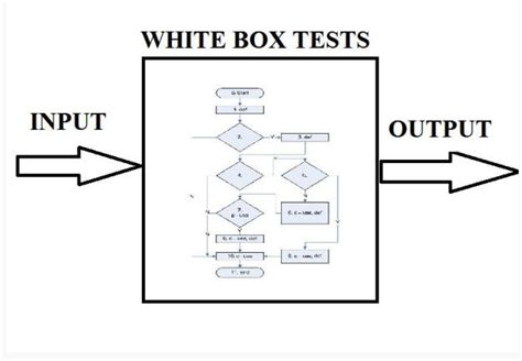 contoh white box testing