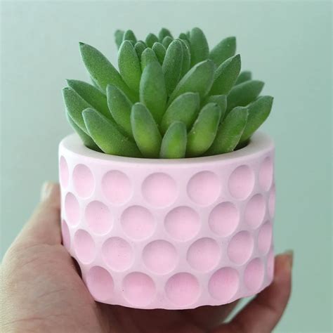 Moule à modeler masse Moule en Silicone pour plantes charnues pot de