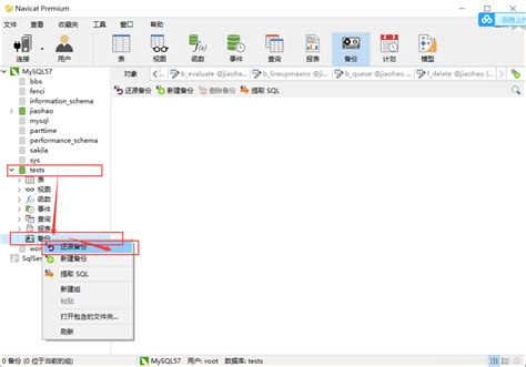 [数据库][工具]navicat 导入导出sql文件 以及 导入导出psc备份文件 navicat导入psc文件 csdn博客