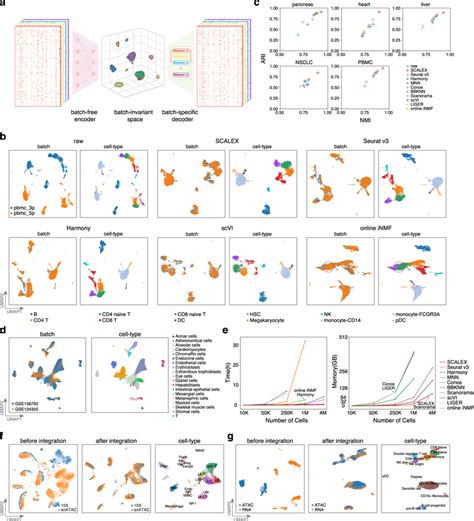 the design and performance of scalex for single cell data integration a download scientific