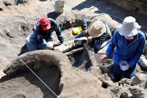 El Universal Cultura Arqueología busca ayudarse más de la paleontología