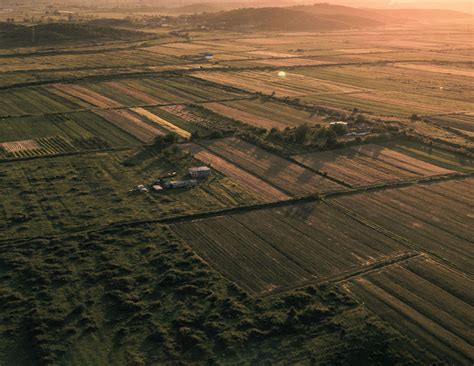 La nulidad de las adjudicaciones ilícitas de tierras estatales de la