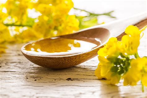 Cu L Es El Mejor Aceite Para Cocinar Aprende Institute