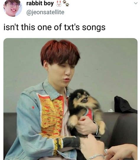 Bts Suga Memes To Make Your Day Agust D Lightful