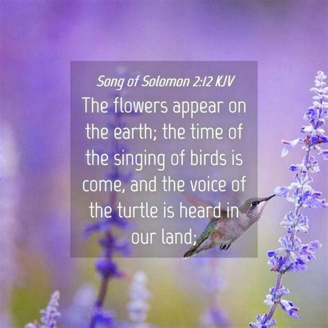 Song Of Solomon Kjv Bible Verse Images