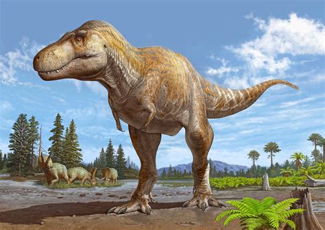 New Dinosaur Discovery May Be The Closest Relative To Tyrannosaurus Rex