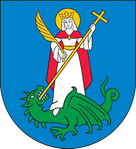 MKS Sandecja Nowy Sącz oficjalna strona klubu