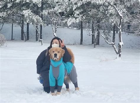 문정희 반려견 마누 와 눈길 산책 촬영가야 하는데