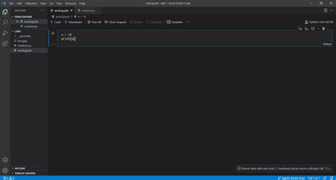 Python Jupyter Notebook Cell Code Not Executing In VSCode When There