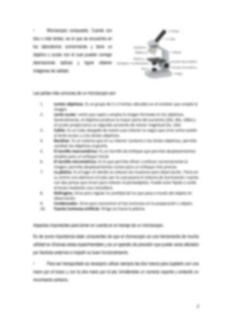 SOLUTION Practica Uso Y Manejo Del Microscopio Studypool