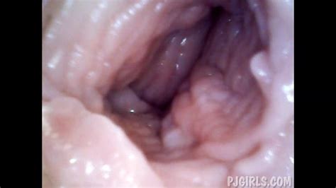 Inner Pussy Cam Sex Pictures Pass