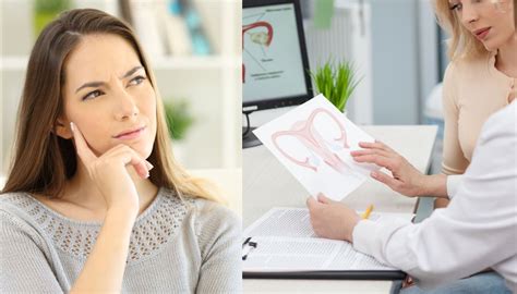 Ginecólogo vs sexólogo no te confundas y conoce las diferencias