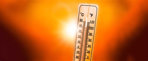 As diferentes temperaturas em que vivemos Ciência HojeCiência Hoje