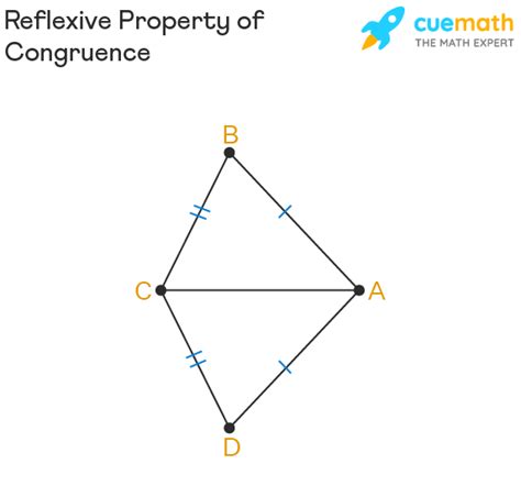 Reflexive Property Congruence Equality Formula Examples