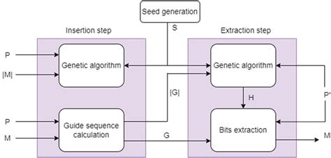 frontiers confidentiality in medical images through a genetic based steganography algorithm in
