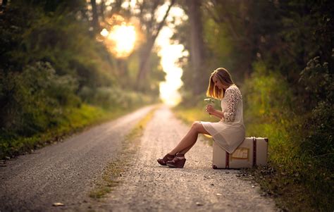 Sunny Road Escape Hd Wallpaper