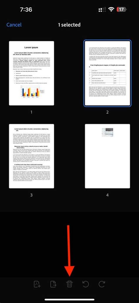 Methode zum Löschen von Seiten in einem PDF auf iPhone und iPad