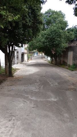 Terrenos sítios e fazendas Muriaé MG OLX