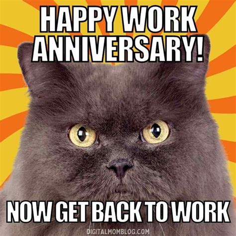Best Work Anniversary Memes For Office Celebrations Work