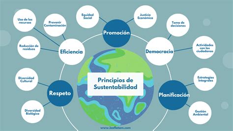 Características del desarrollo sustentable 2024 Leaf