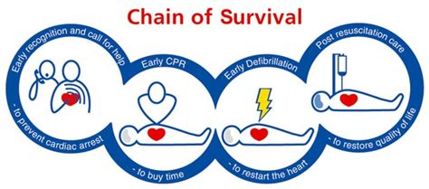 BLS Basic Life Support Almostadoctor