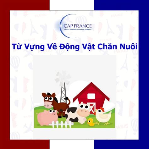 Học Từ Vựng Về Động Vật Chăn Nuôi Bằng Tiếng Pháp HocTiengPhap Top