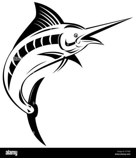 Blue Marlin Jumping Hi Res Stock Photography And Images Alamy
