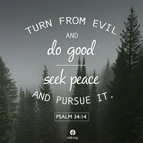 Psalm 34 14 Psalms Life Verses Seek Peace