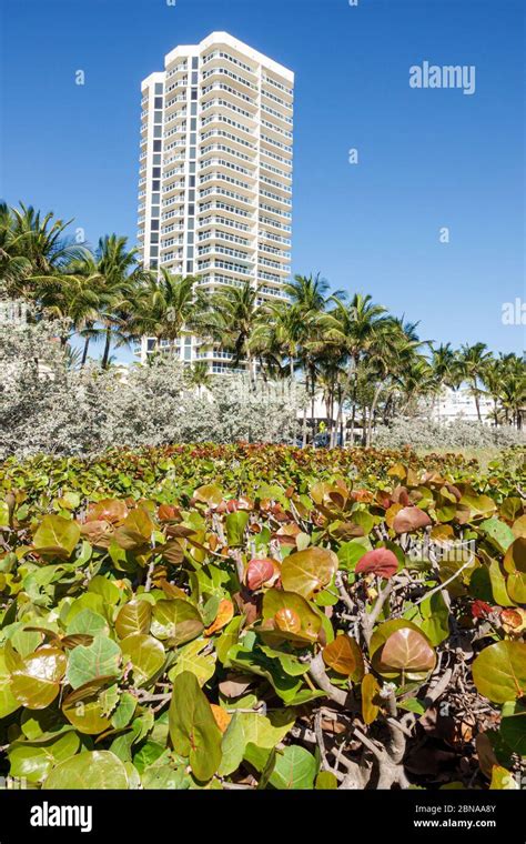 Miami Beach Florida North Beach Ocean Terrace St Tropez Ocean Front