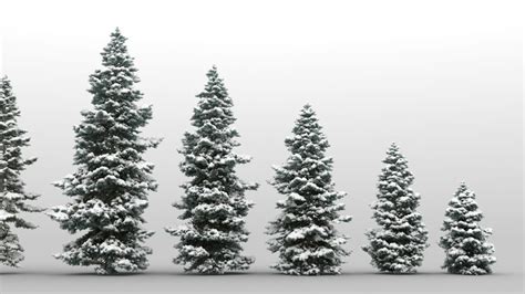 20 棵有雪的云杉树 3D模型 150 max c4d fbx Free3D
