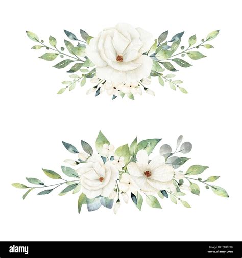 Descargar esta imagen Flores blancas ramo acuarela ilustración