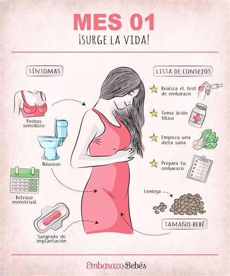 PRIMER MES DE EMBARAZO Mes 1 Primeros síntomas de embarazo