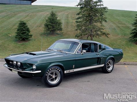 Shelby Gt Mustang Ultimate In Depth Guide Off
