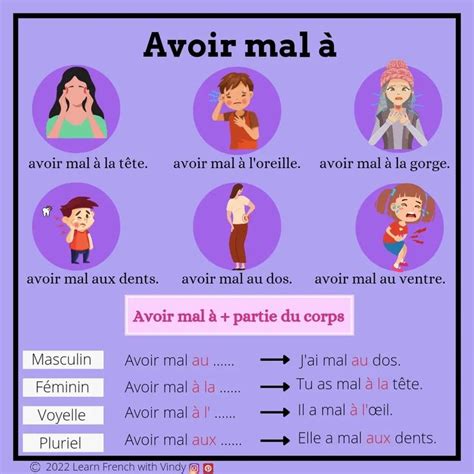 Les Expressions Avec Avoir Exercices Fle Fle Partie Du Corps