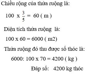 MỘT THỬA RUỘNG HÌNH CHỮ NHẬT CÓ CHIỀU DÀI LÀ 200M CHIỀU RỘNG BẰNG 2 8