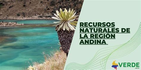 Parques naturales de la región Andina Colombia Verde