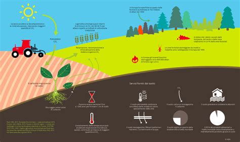 Cambiamento Climatico Cos Cause Conseguenze E Soluzioni Del
