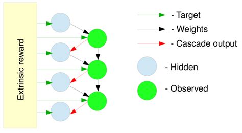 3 a neural structure for neural cascade with two neuron types each download scientific