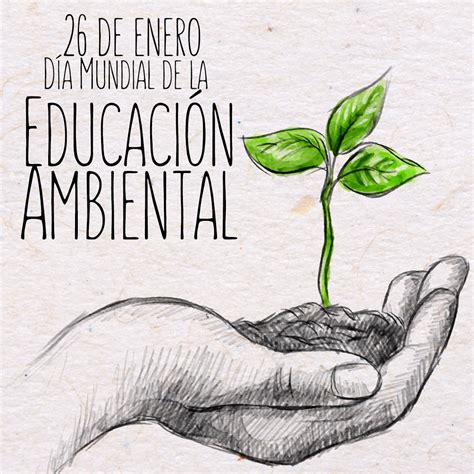 DÍA MUNDIAL DE LA EDUCACIÓN AMBIENTAL Recylink