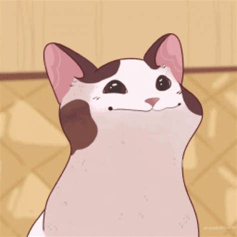Anime Cat Sticker Anime Cat Meme Gifs Entdecken Und Teilen The Best