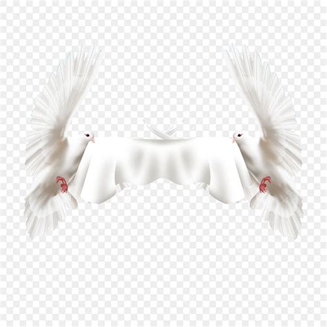 Peace Dove PNG Transparent Two Hand Painted World Peace Day Doves