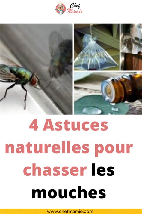 En règle générale les mouches pénètrent dans nos maisons en été mais