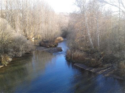 Pesca Canal Del Esla Leon Fishsurfing